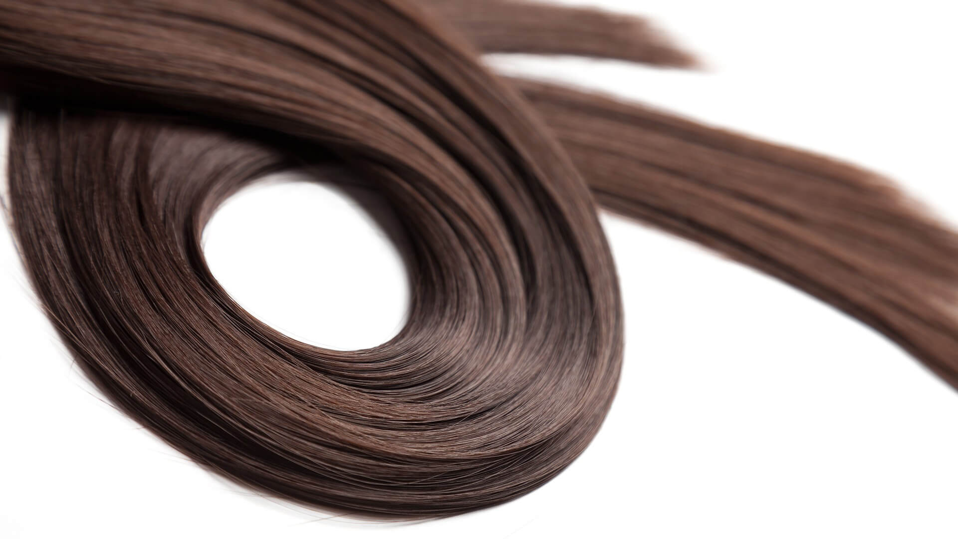 Le cycle capillaire | Tout savoir sur les différentes phases du cheveu ...